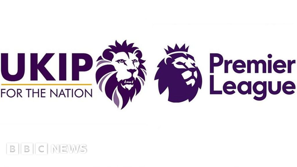 UKIP chairman Paul Oakden on football lion link to logo - BBC News