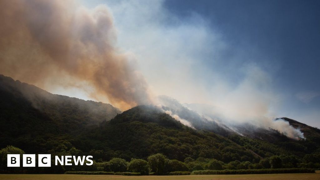 Large grass fire near Aberystwyth as temperatures hit 30C - BBC News