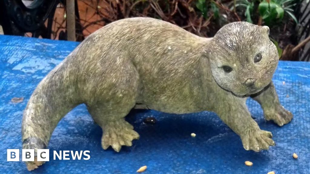 'Lizard' alert for Scottish SPCA was otter ornament - BBC News