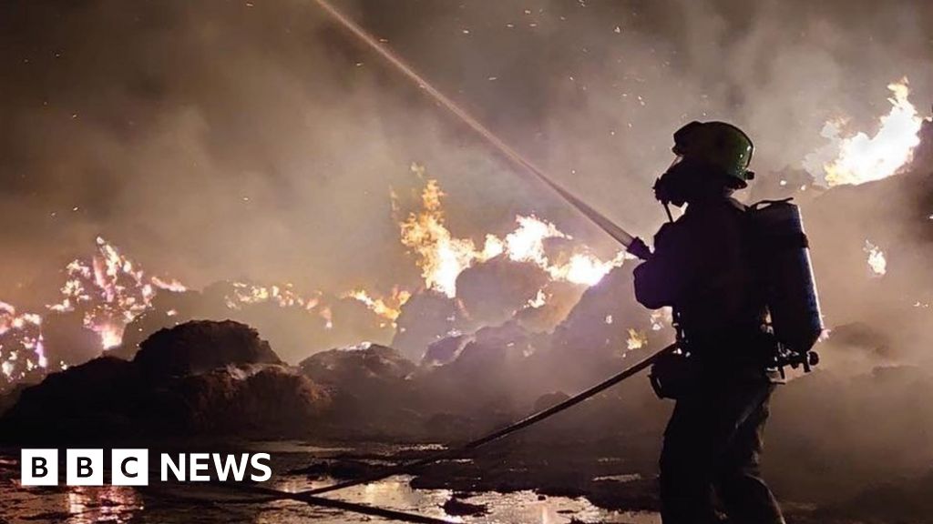 More than 1,000 pigs rescued from Oxfordshire farm fire - BBC News