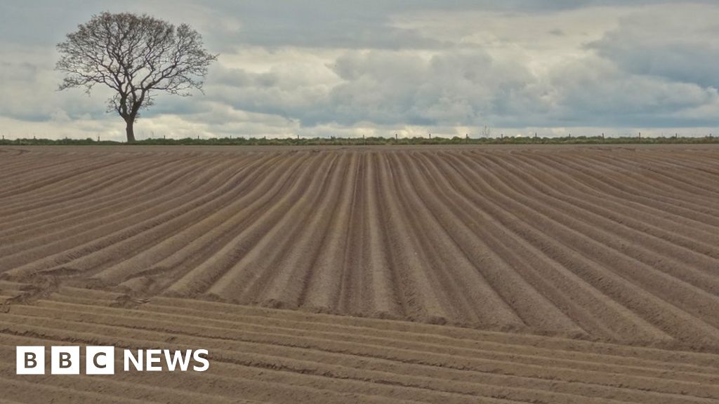 England's Big Picture: 3 - 9 May - BBC News