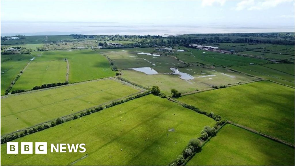 Renewable energy: Gwent Levels face 'mass extinction' - BBC News