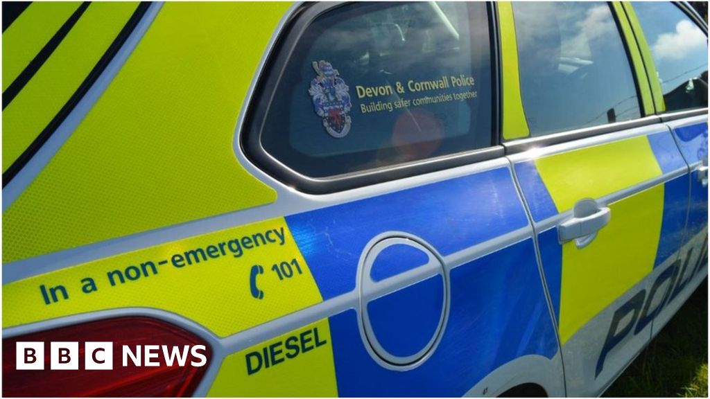 Exeter police appeal for 'Good Samaritan' after woman attacked - BBC News