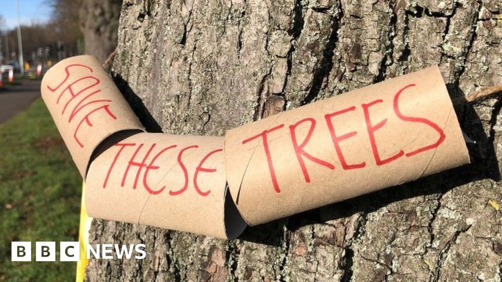 Wellingborough: Protesters halt tree-felling plans