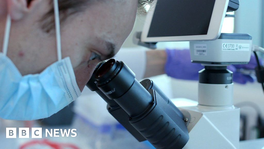 What a stem cell ‘reboot’ technique could mean for us? - BBC News