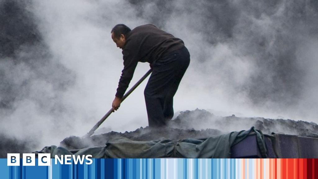 Climate change: What are the big polluters doing to cut carbon emissions? - BBC News