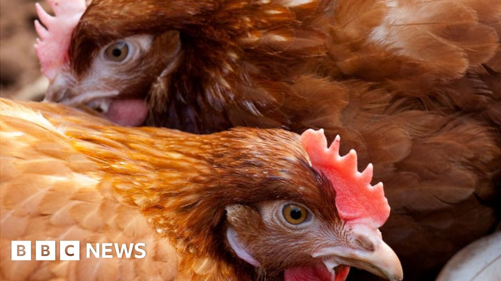 Planners back Knockin poultry farm expansion plans