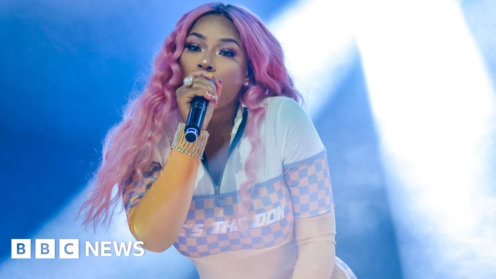 Stefflon Don hopes artists like Skepta and Ne-Yo will join her on tour ...