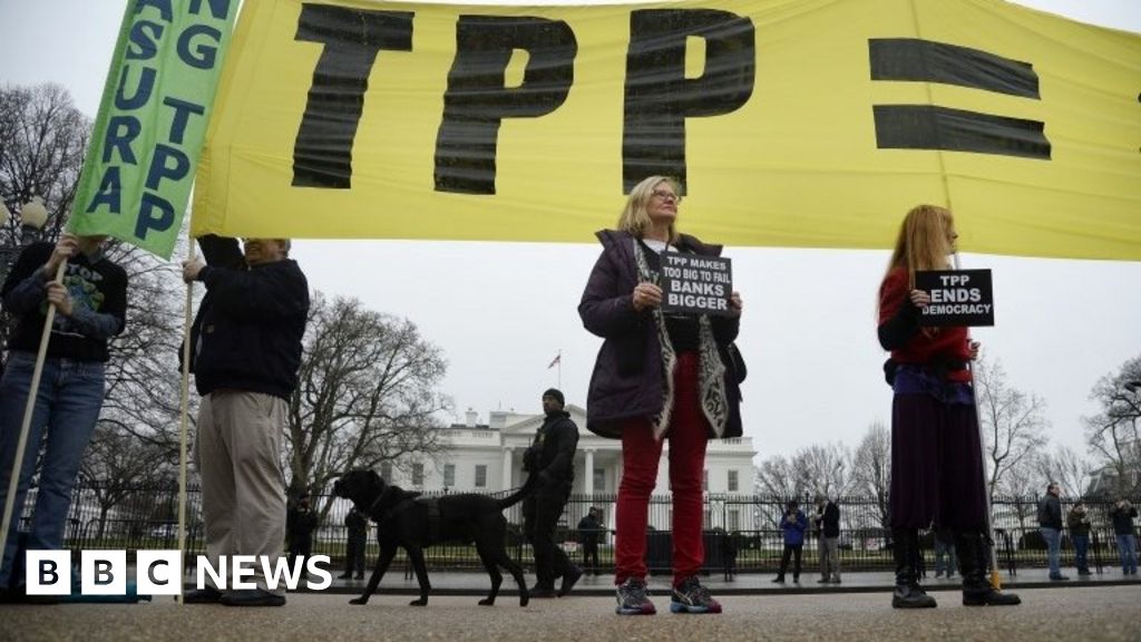 Tpp Who Are The Winners And Losers Bbc News