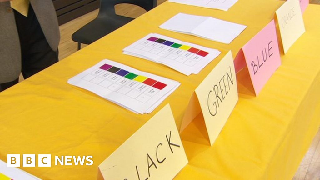 NI Assembly election: Educating voters on STV system - BBC News
