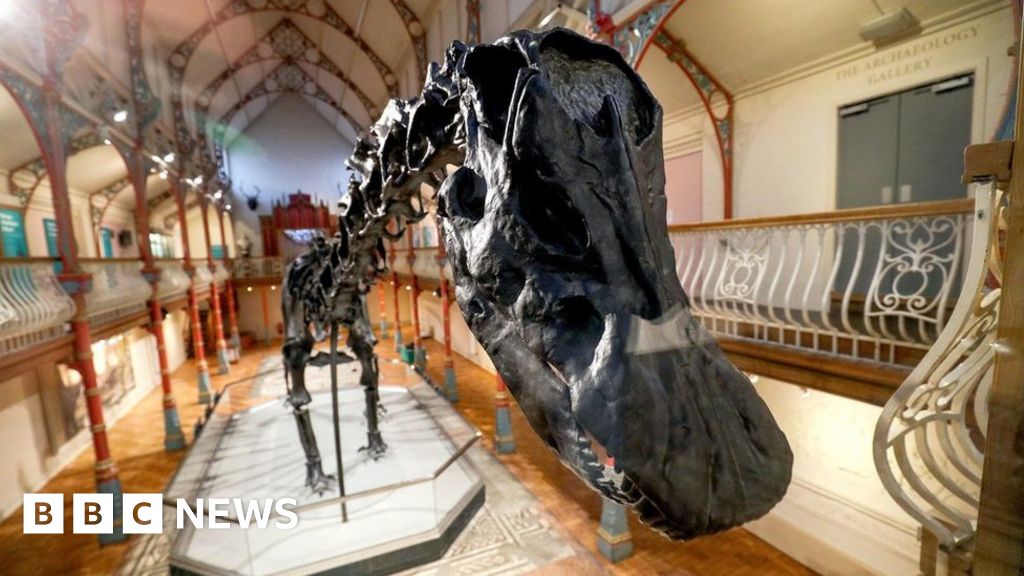 Dippy The Dinosaur Set To Return To Natural History Museum Bbc News
