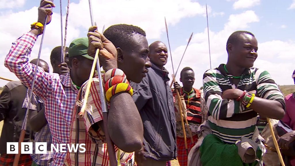 Are Kenya ranch invasions driven by drought or politics? - BBC News