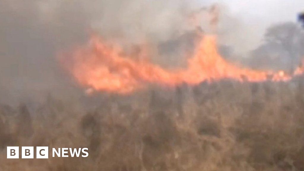 Kenya's Tsavo National Park: Authorities blame fire on arsonists - BBC News