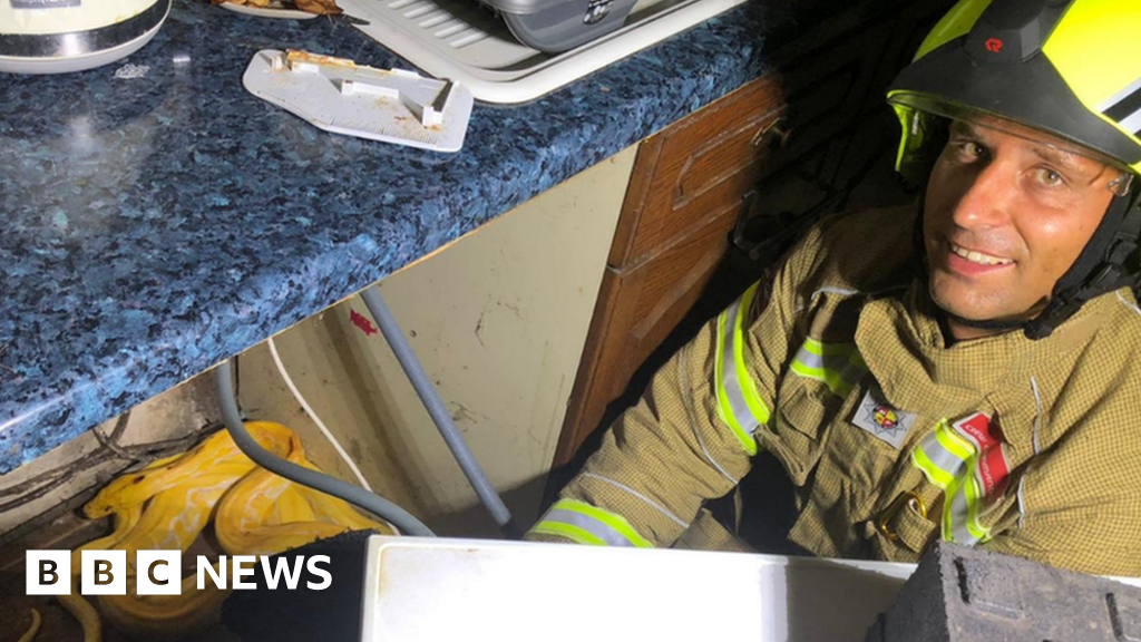 Ampthill python sssstuck under oven rescued by fire crew - BBC News