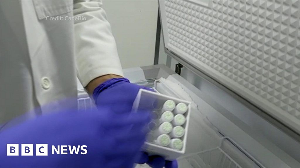 The coronavirus diagnostics kit made in South Africa
