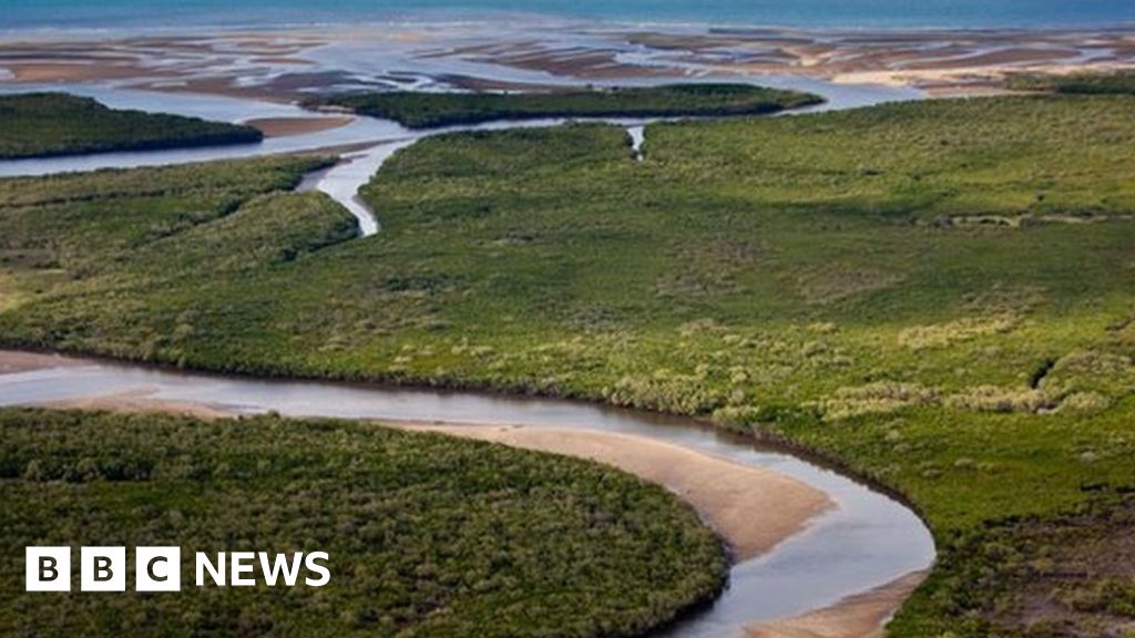 Australia approves Abbot Point coal port expansion - BBC News
