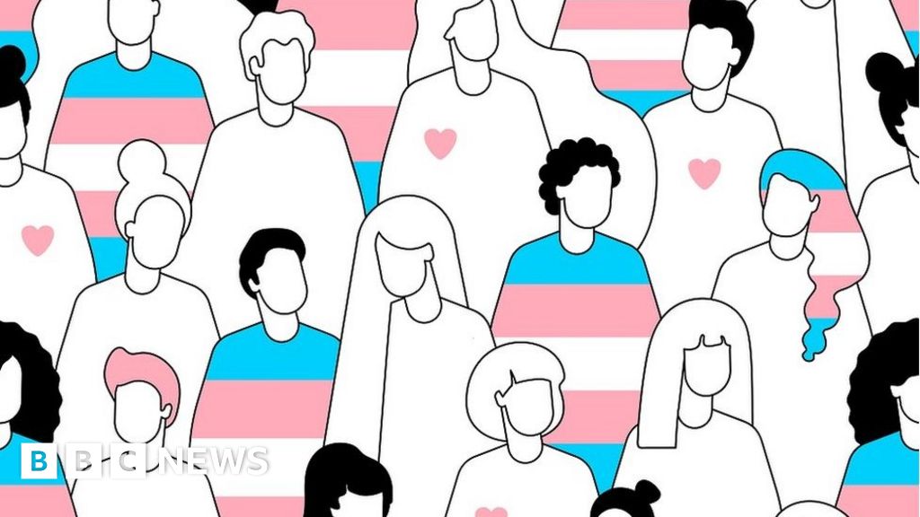 Northern Ireland trans rights debate spans decades, papers show - BBC News