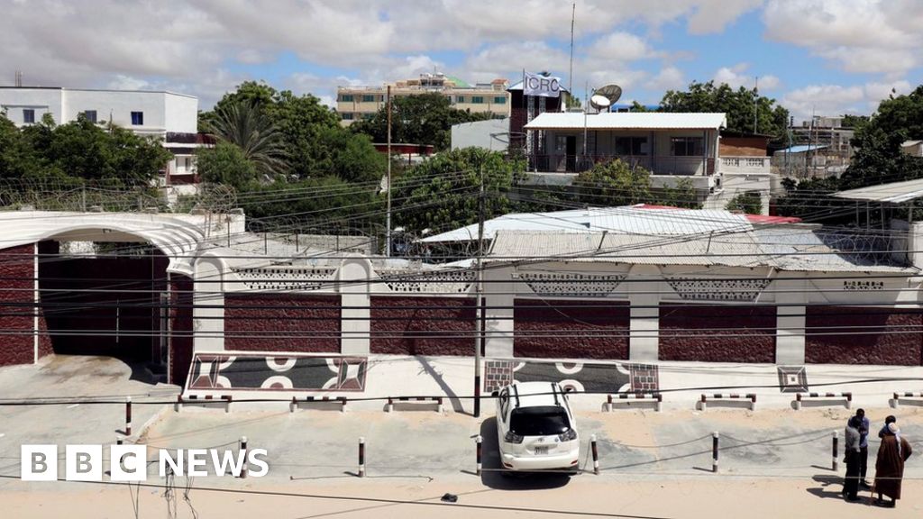Somali gunmen abduct German Red Cross nurse in Mogadishu