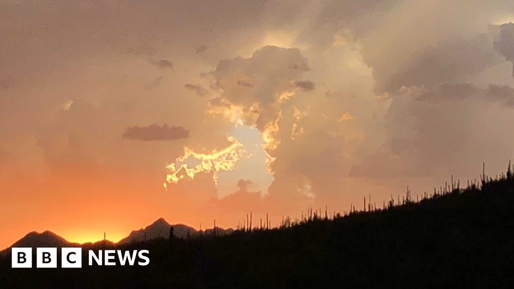 US mid-terms: The political storm brewing in Arizona
