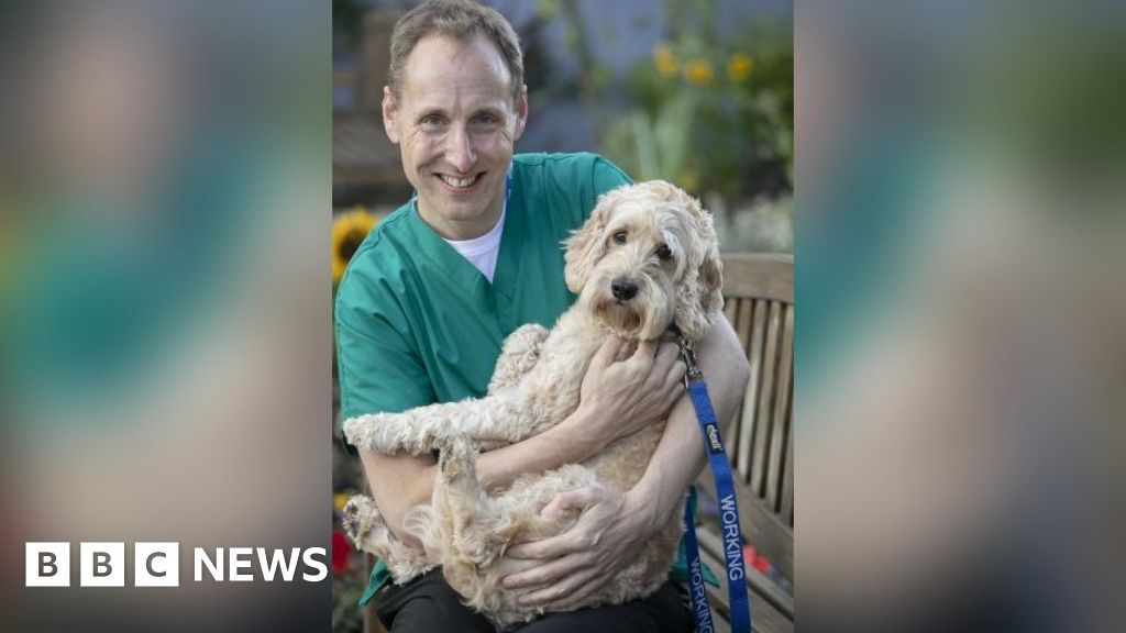 East Lancashire NHS therapy dog given award for work during Covid - BBC ...