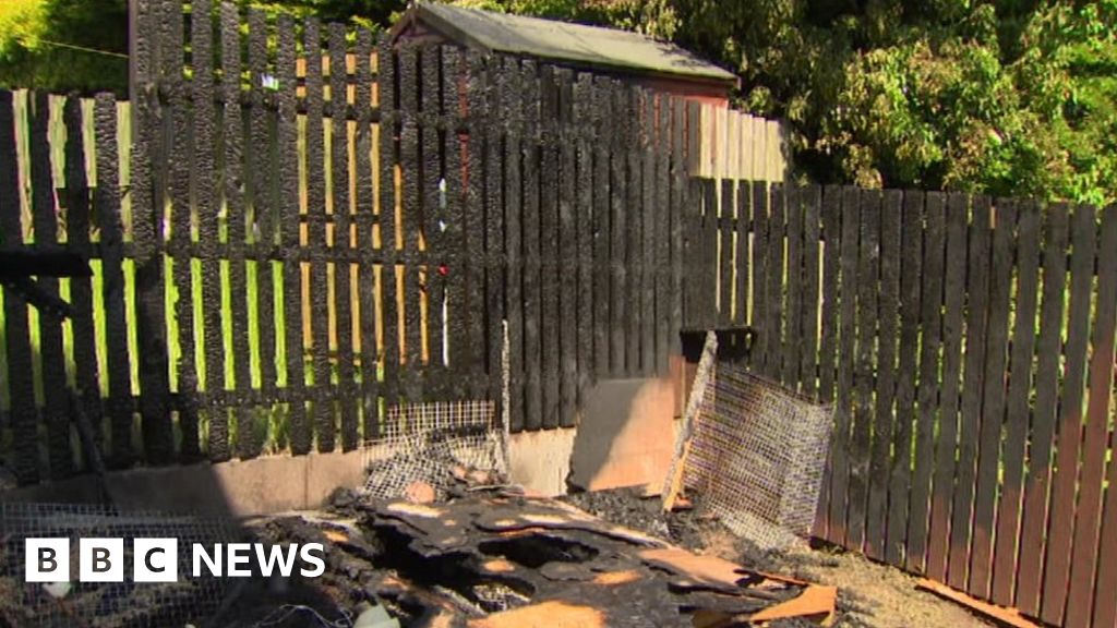Larne arson attack victim fears for young family's lives - BBC News