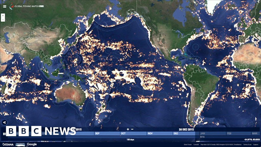 Fishing vessels around the world - BBC News