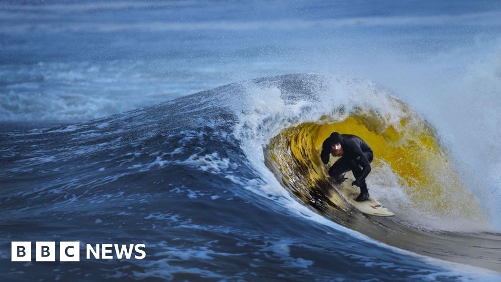 Surfing exhibition dives into Ireland's love of big waves - BBC News