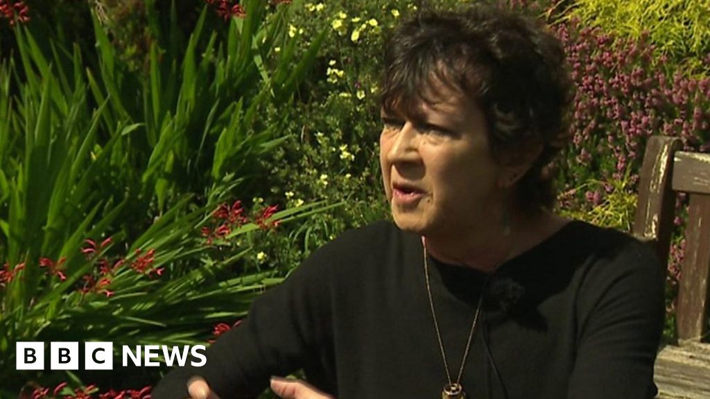 Welsh language commissioner calls for evidence to back changes - BBC News