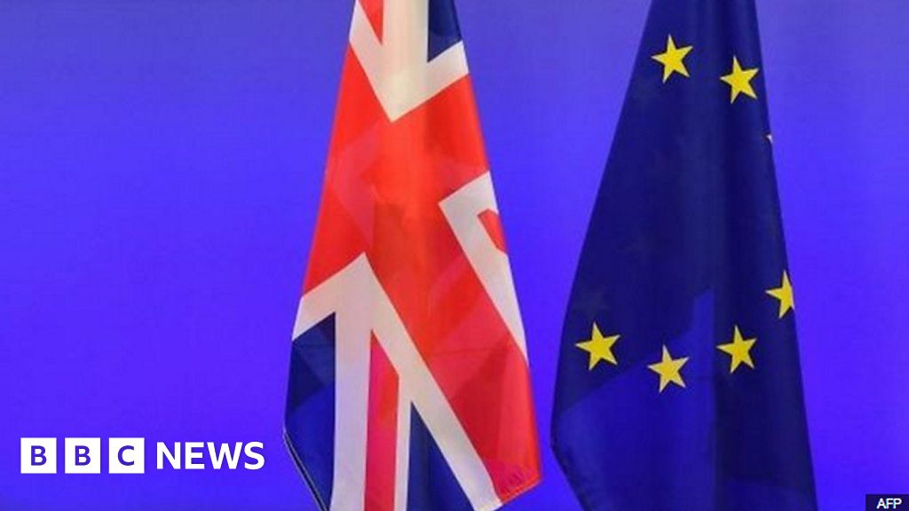 Constitutional expert on possible second EU referendum - BBC News