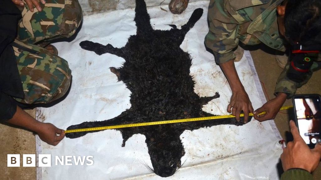 Thai tycoon charged over poaching in protected sanctuary