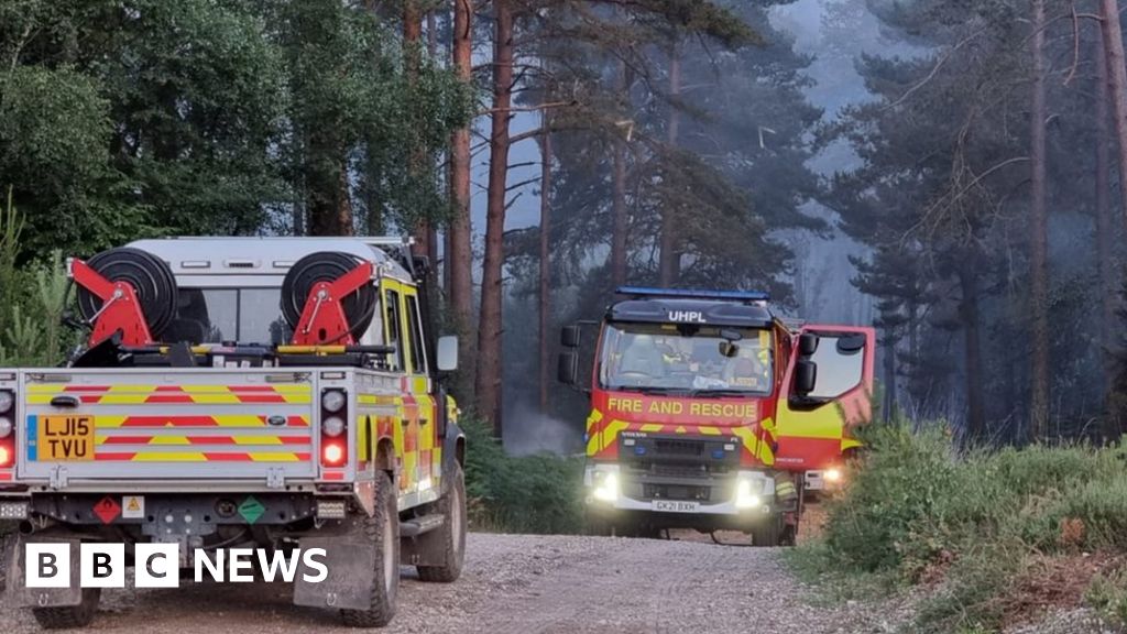 Large fire sweeps through Hartley Wintney forest - BBC News