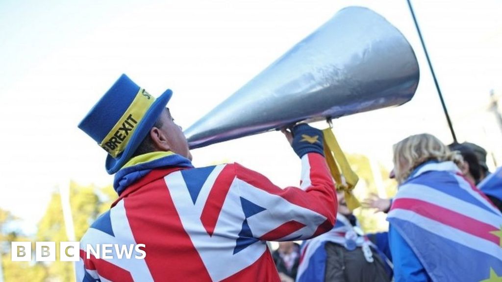 General election 2019: Anti-Brexit campaigner Steve Bray to stand for ... General election 2019: Anti-Brexit campaigner Steve Bray to stand for ...