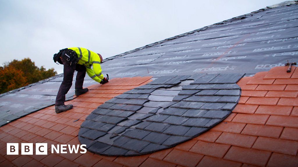Poppy roof mural marks Remembrance weekend - BBC News