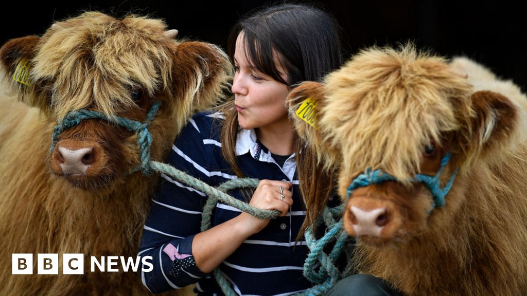 In pictures: Royal Highland Show 2019 - BBC News