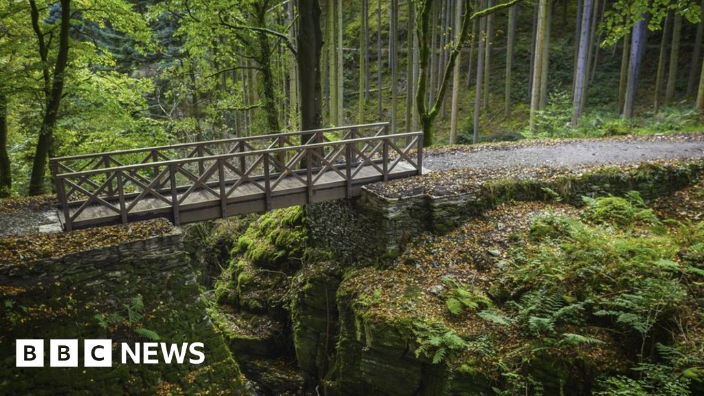 Historic footbridge restored from Hafod Estate sketch