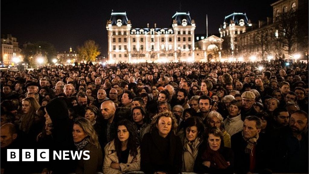 Paris attacks: Fighting Islamic State at home and abroad - BBC News