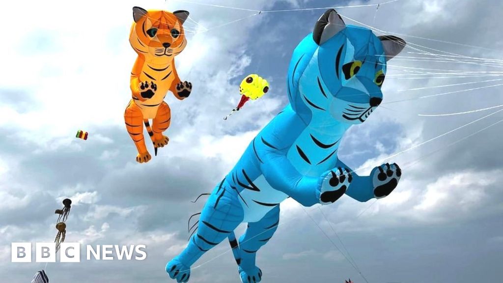 Kite enthusiasts flock to NI beaches for flying festival - BBC News