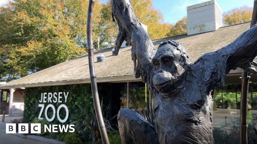 Durrell members vote against trustees stepping down - BBC News