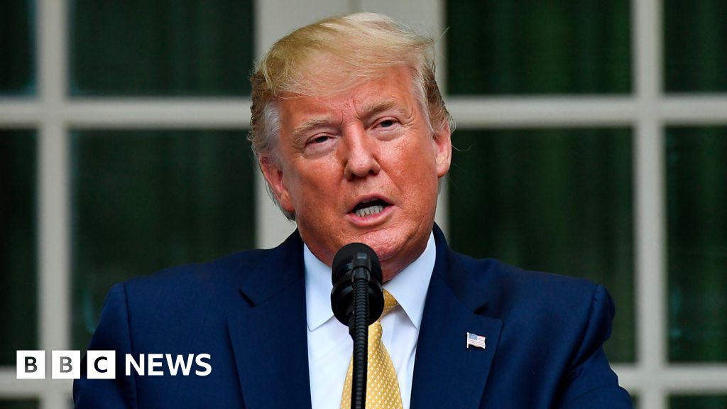 Trump: 'We are not backing down' on citizenship data - BBC News