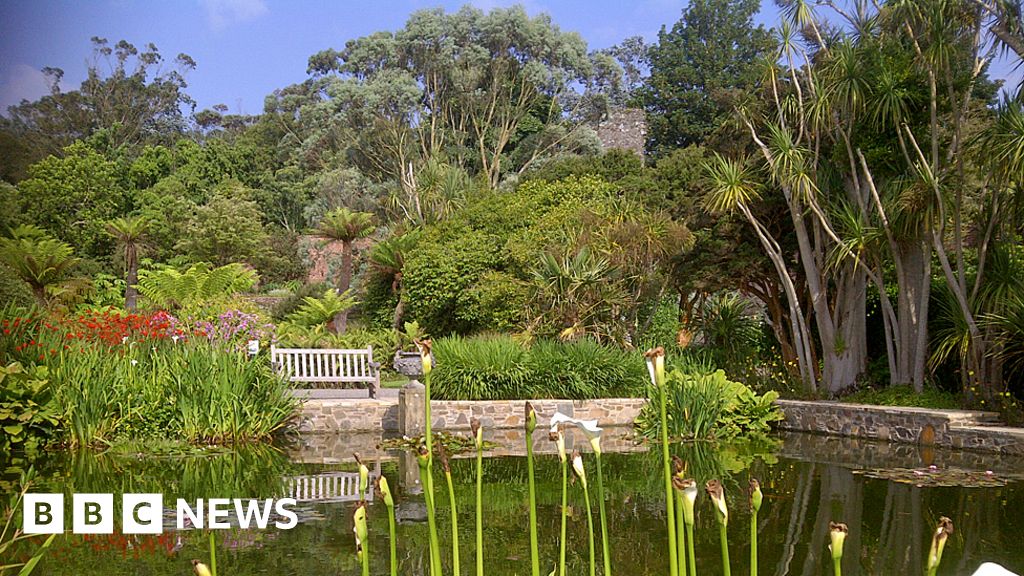 Logan Botanic: 50 years of 'Scotland's most exotic garden' - BBC News