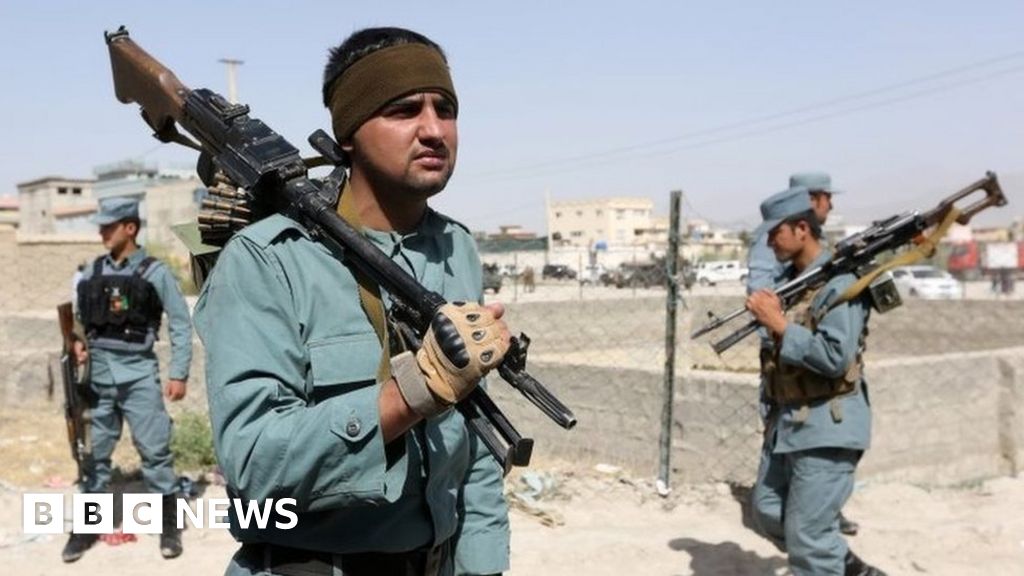 Will talks with the Taliban deliver a peace dividend? - BBC News