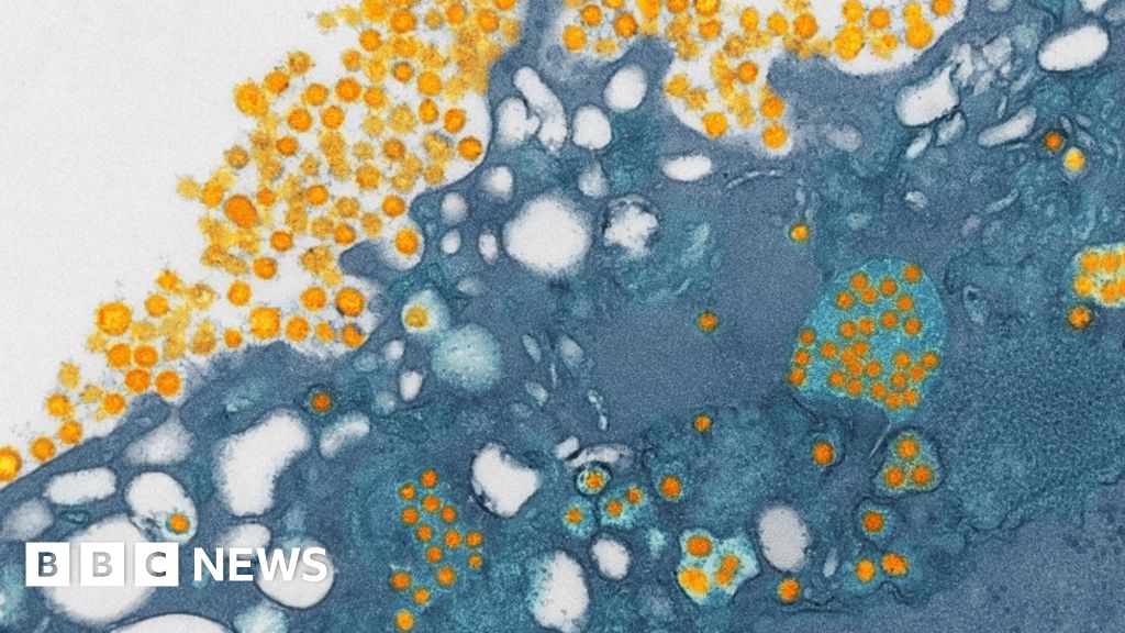 Scientists identify pandemic threat viruses - BBC News