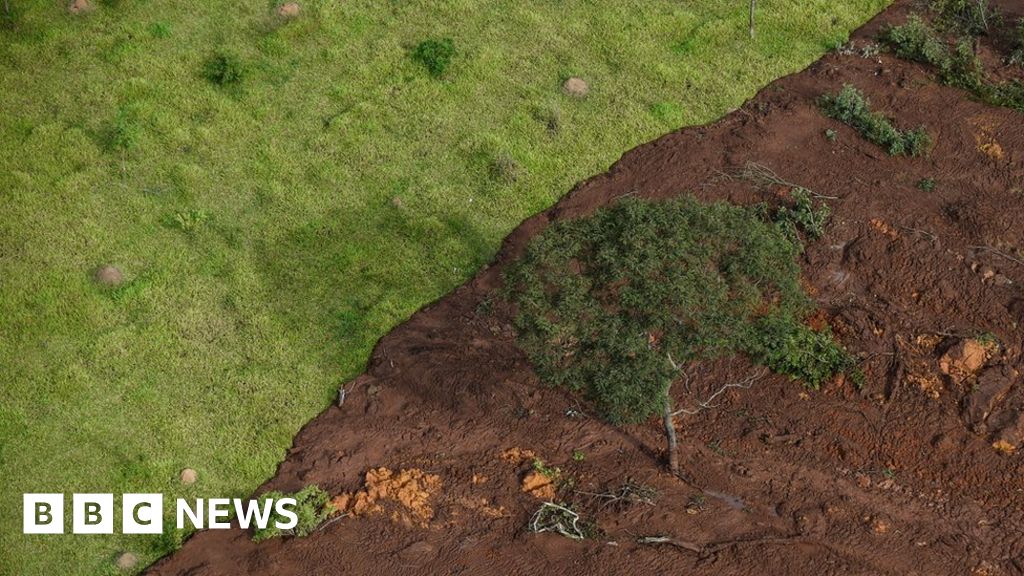 Brazil dam disaster: How do you clear tonnes of toxic sludge?