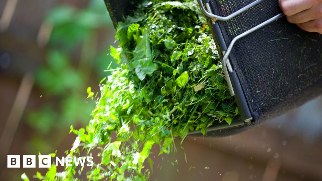 Garden waste collection could cost council £1.75m a year - BBC News