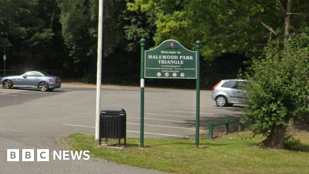 Liverpool: Children find gun and bullets while playing in woods - BBC News