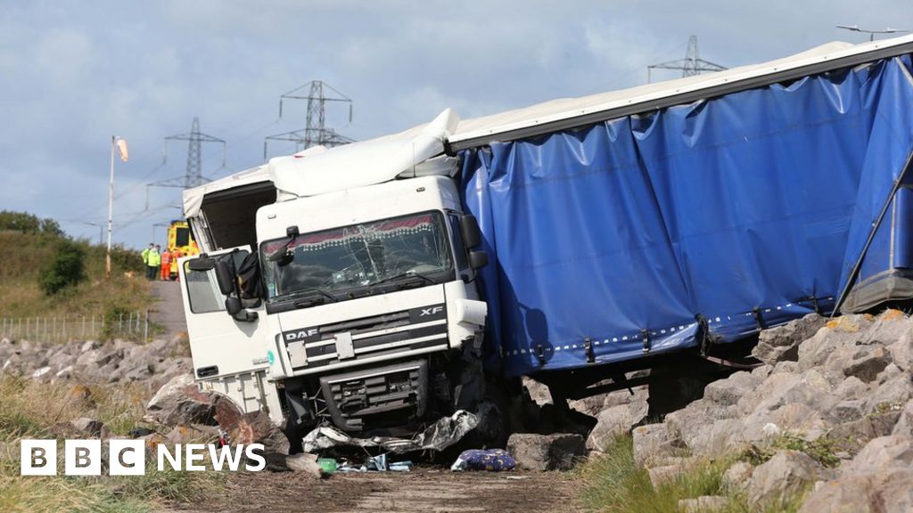 Driver dies after his lorry crashes off side of M4 - BBC News