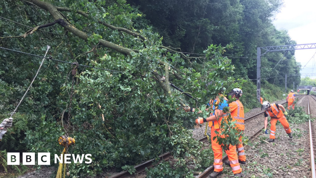 Tree fall and landslip disrupts trains for second day - BBC News