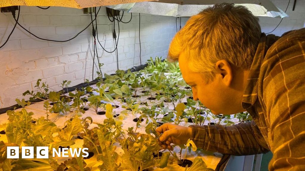 Sheffield underground farm is 'green and sustainable' - BBC News