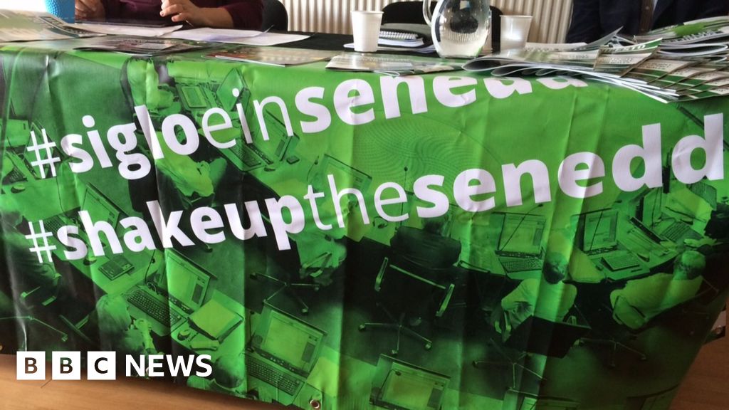 Welsh Assembly election: Greens vow to 'make history' - BBC News