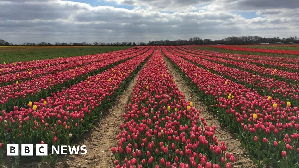 England's Big Picture: 8 - 14 April - BBC News
